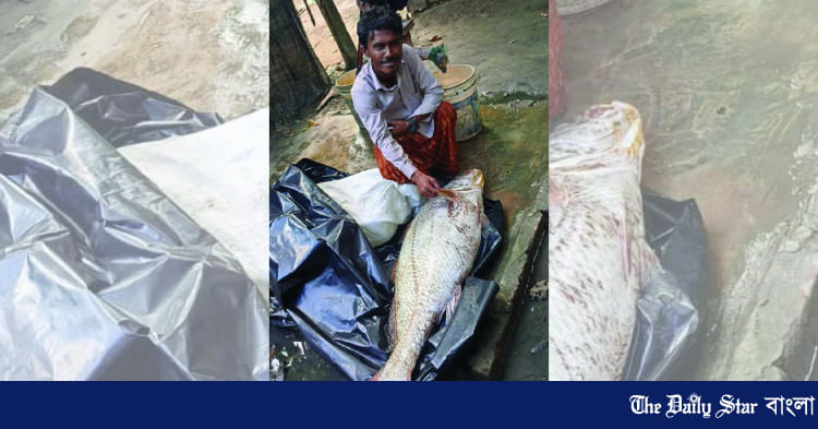 মাছ ধরে ধনী সেন্টমার্টিনের গনি । ডেইলি স্টার